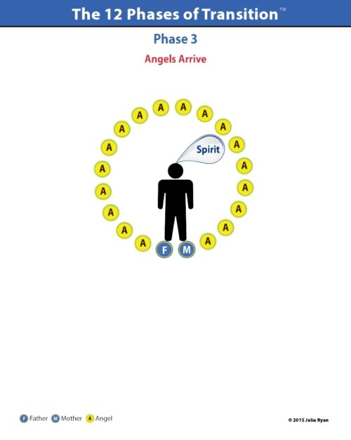 12 Phases Of Transition | Julie Ryan